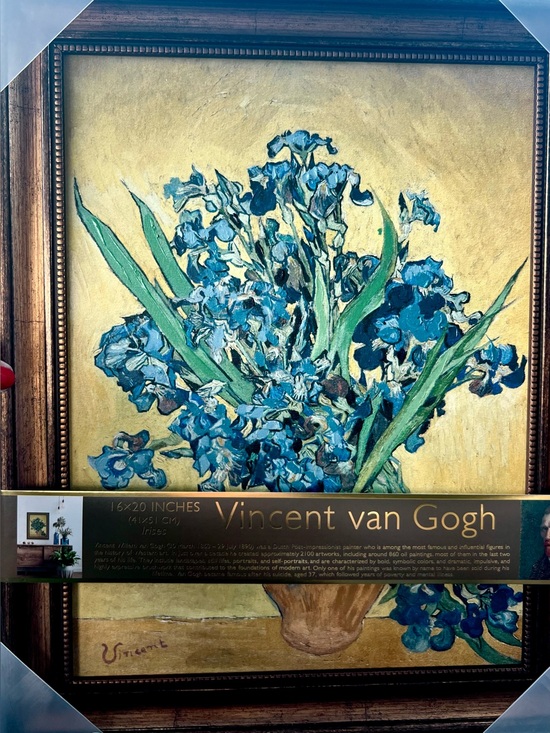 Van Gogh | Art | New Tiktok Viral Vincent Van Gogh Framed Painting ...